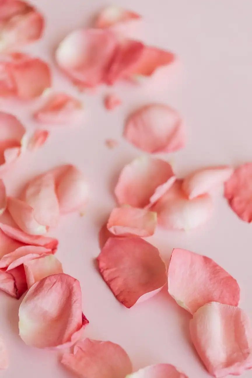 Valentinskort Få 21 Idéer Til Valentinsdag Teksten Her Interflora